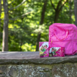 There's A Brand New Girl Scout Cookie Available This Year | Foodictator